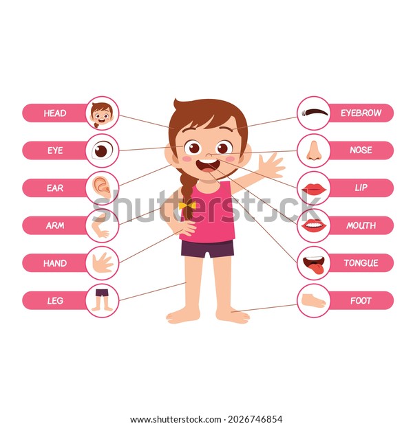Stock vektor „Human Body Internal Infographic Poster Icons“ (bez ...