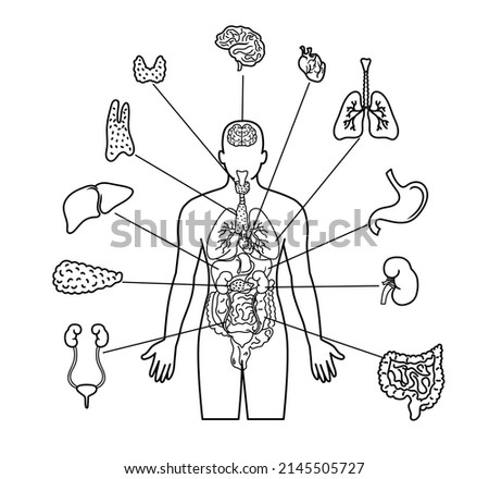 Human Body Drawing | Free download on ClipArtMag