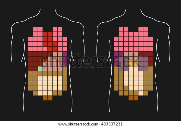 Human Body Internal Organs Layout Anterior Stock Vector (Royalty Free ...