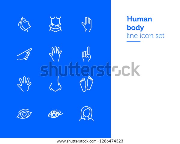 Human Body Line Icon Set Face Stock Vector (Royalty Free) 1286474323