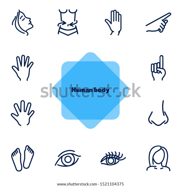 Human Body Line Icon Set Face: vector de stock (libre de regalías ...