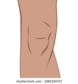 Human Body Part Knee: vector de stock (libre de regalías) 1082334767 ...