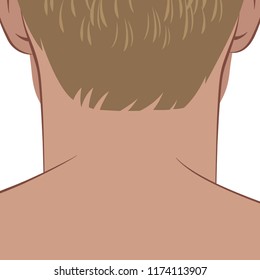 Human Body Part Neck Stock Vector (Royalty Free) 1174113907