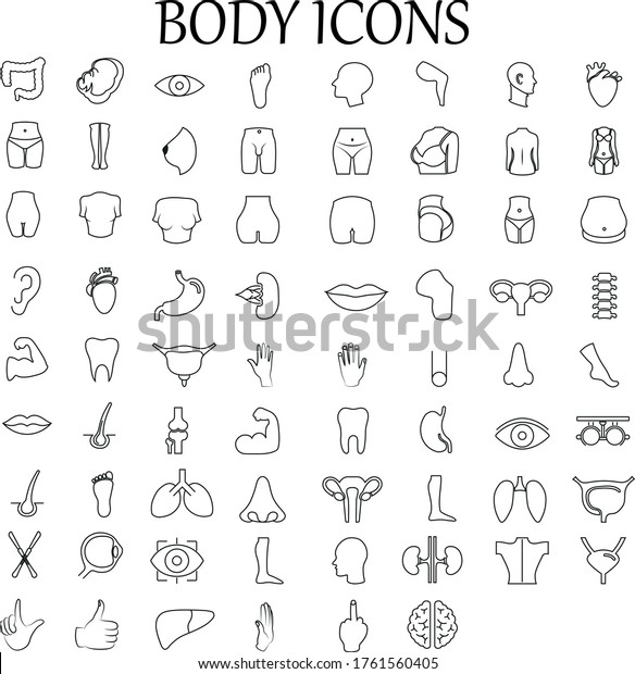 Human Body Parts Vector Eps 10 Stock Vector (Royalty Free) 1761560405 ...