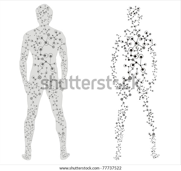 Human Body Scientific Presentation Immagine Vettoriale Stock royalty Human Body Scientific Presentation Immagine Vettoriale Stock royalty