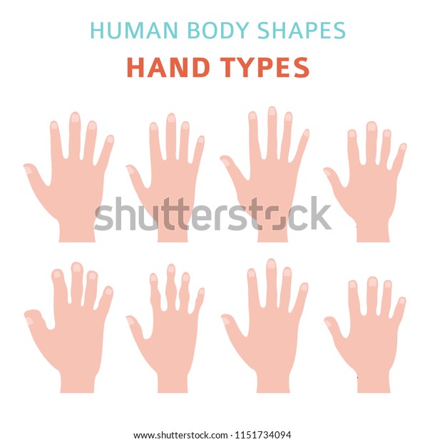 Human Body Shapes Hand Types Icon Stock Vector (Royalty Free ...