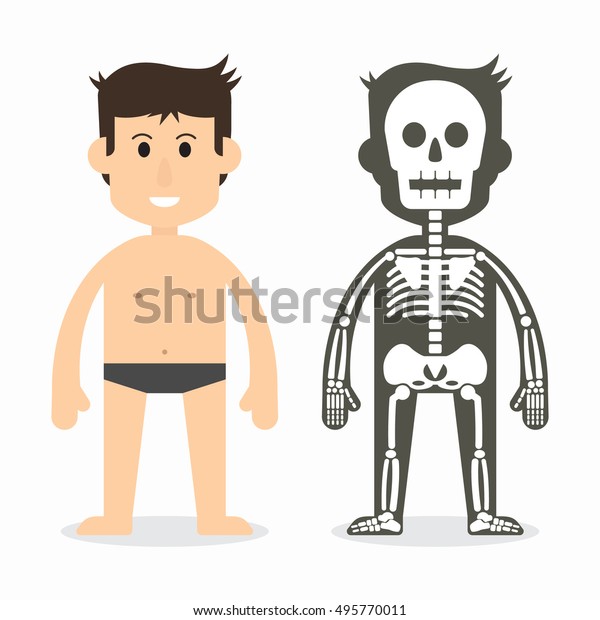 Human Body Skeletal System Flat Design Stok Vektör (Telifsiz) 495770011