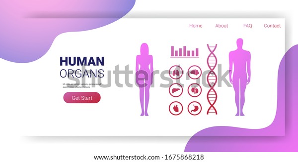 Human Body Structure Medical Infographic Poster Stock Vector (Royalty ...
