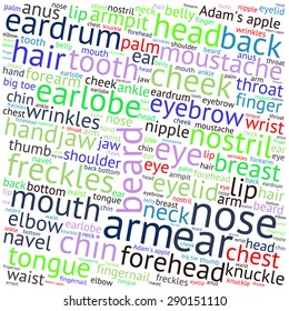 Human Body Tag Word Cloud Background Stock Vector (Royalty Free ...