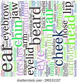 Human Body Tag Word Cloud Background Stock Vector (Royalty Free ...