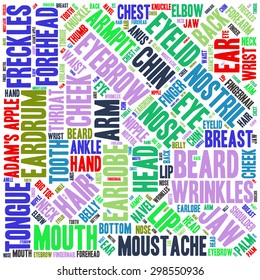 Human Body Tag Word Cloud Background Stock Vector (Royalty Free ...