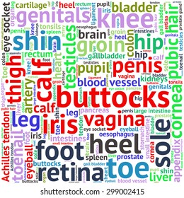 Human Body Tag Word Cloud Background Stock Vector (Royalty Free ...