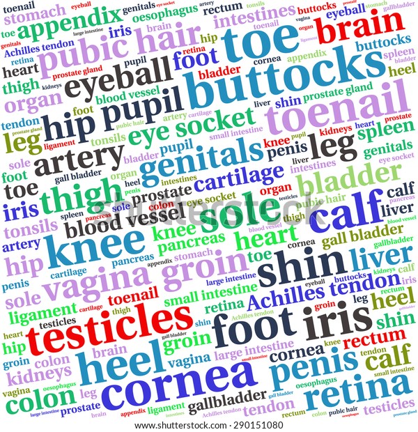 Human Body Tag Word Cloud Background Stock Vector (Royalty Free ...