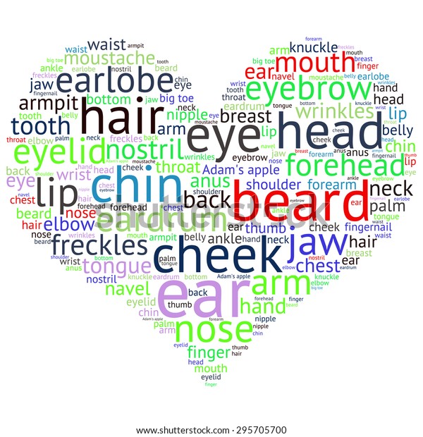 Human Body Tag Word Cloud Background Stock Vector (Royalty Free ...