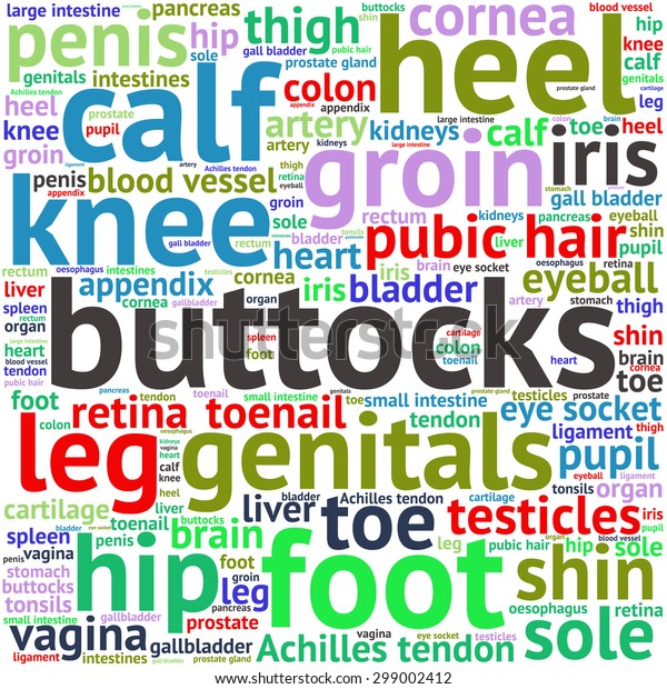 Human Body Tag Word Cloud Background Stock Vector (Royalty Free ...