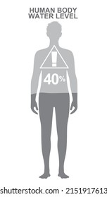 Human Body Water Level Vector Stock Vector (Royalty Free) 2151917613 ...