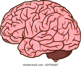 Human Brain Cartoon Stock Vector (Royalty Free) 429705607 | Shutterstock