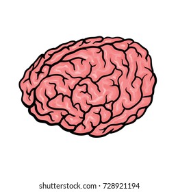 Human Brain Cartoon Hand Drawn Vector Stock Vector (Royalty Free ...