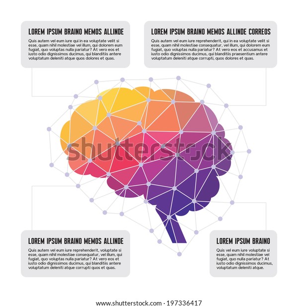 Human Brain Colored Polygon Infographic Illustration Stock Vector ...