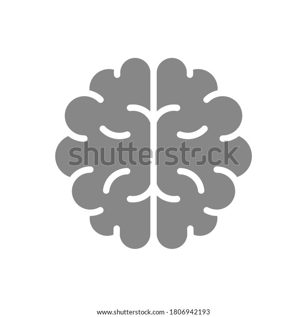 Human Brain Gray Icon Healthy Organ Stock Vector (Royalty Free ...