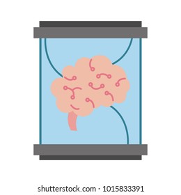 Human Brain Into Glass Container Stock Vector (Royalty Free) 1015833391 ...