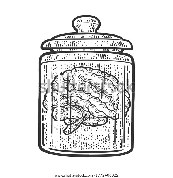 Human Brain Jar Formalin Sketch Engraving Stock Vector (Royalty Free ...