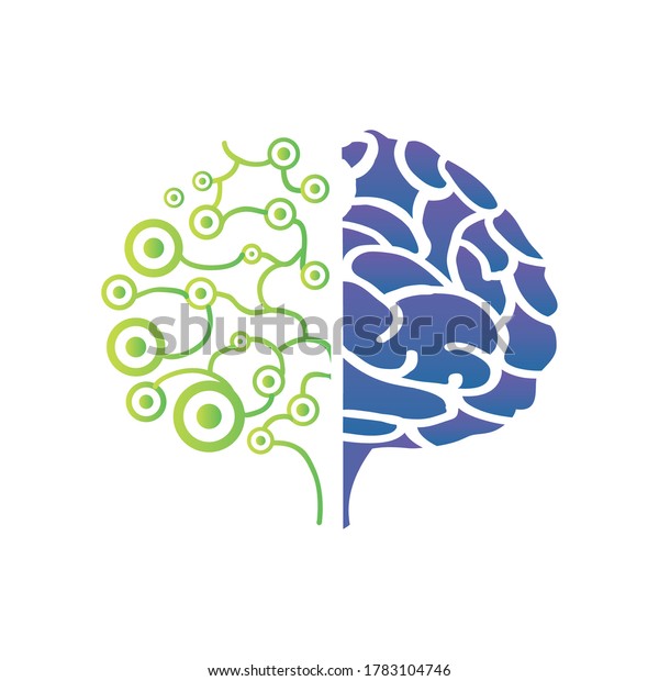 Human Brain On White Background Vector Stock Vector (Royalty Free ...