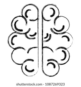 Human Brain Organ Icon Stock Vector (Royalty Free) 1087269323 ...