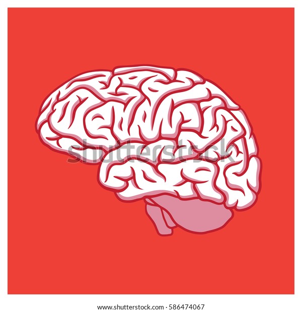 Human Brain Profile Illustration On Red Stock Vector (Royalty Free ...