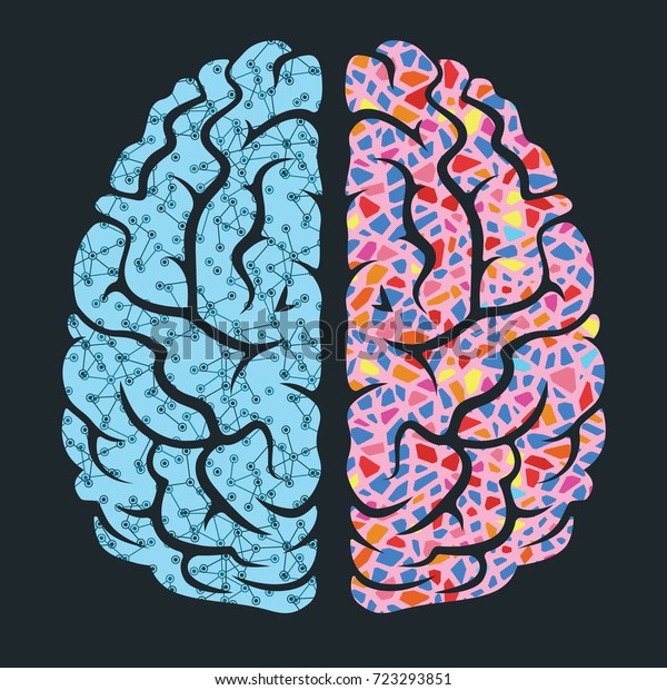 Human Brain Right Left Hemispheres Stock Vector (Royalty Free) 723293851