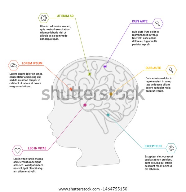Human Brain Scheme On White Background Stock Vector (Royalty Free ...