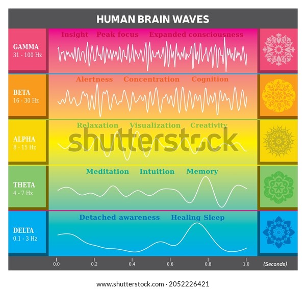 Human Brain Waves Diagram Rainbow Colors Stock Vector (Royalty Free ...