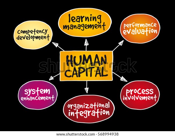 Human Capital Mind Map Business Management Stock Vector (Royalty Free ...