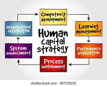 Human Capital Strategy Mind Map Business Stock Vector (Royalty Free ...