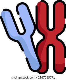 Human Chromosomes Illustration Vector On White Stock Vector (Royalty ...
