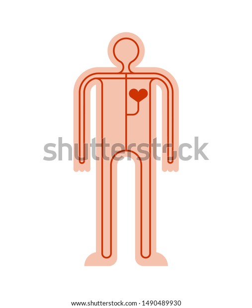 Human Circulatory System Cartoon Body Anatomy Stock Vector (Royalty ...