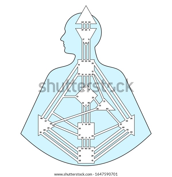 Human Design Chart Bodygraph Energy Centers Stock Vector (Royalty Free ...