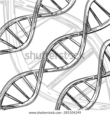 Human DNA Model Drawing Hand Drawing Stock Vector (Royalty Free ...