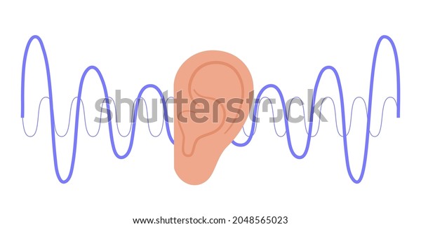 Human Ear Anatomy Auditory Icon Hearing Stock Vector (Royalty Free ...