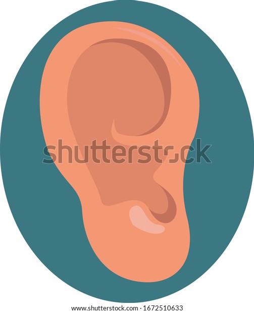 Human Ear Drawing Illustration Vector On Stock Vector (Royalty Free ...