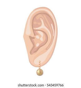 Human Ear Hanging Earring Front View Stock Vector (Royalty Free ...