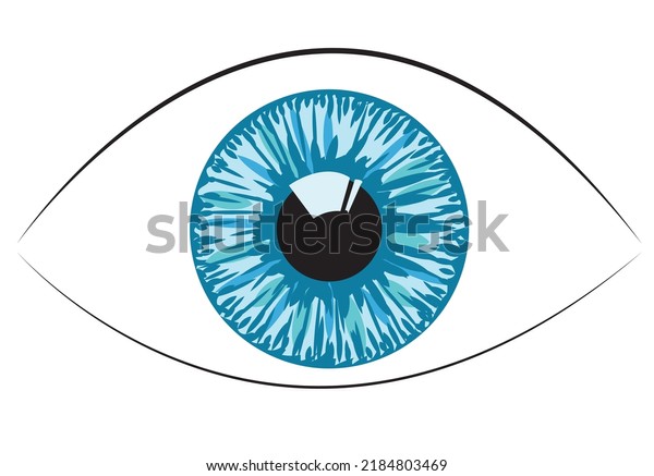 Human Eye Symbol Vector Illustration: เวกเตอร์สต็อก (ปลอดค่าลิขสิทธิ์ ...