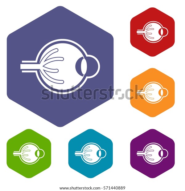 Human Eyeball Icons Set Rhombus Different Stock Vector (Royalty Free ...