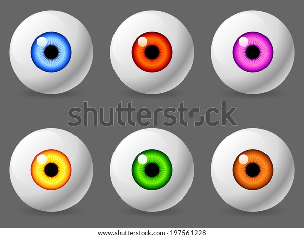 Human Eyeballs Color Iris: เวกเตอร์สต็อก (ปลอดค่าลิขสิทธิ์) 197561228 ...