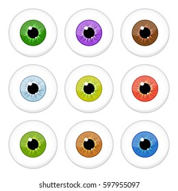 573 Hazel eyes vector Images, Stock Photos & Vectors | Shutterstock