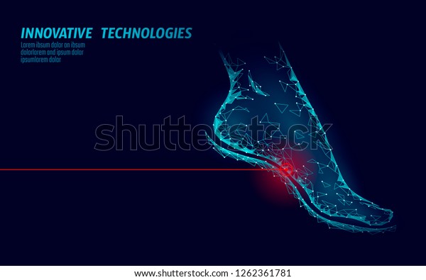 Human Feet Toe 3d Low Poly Stock Vector (Royalty Free) 1262361781