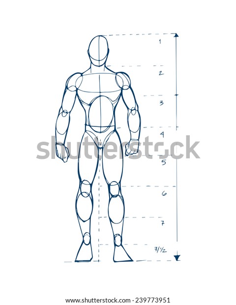 Human Figure Men D Stock Vector (Royalty Free) 239773951 | Shutterstock