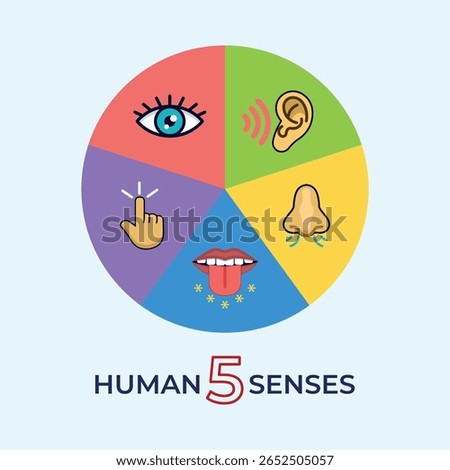 Sense Of Sight Clipart | Free download on ClipArtMag