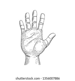 Human Hand Illustration Hand Drawn Illustration Stock Vector (Royalty ...