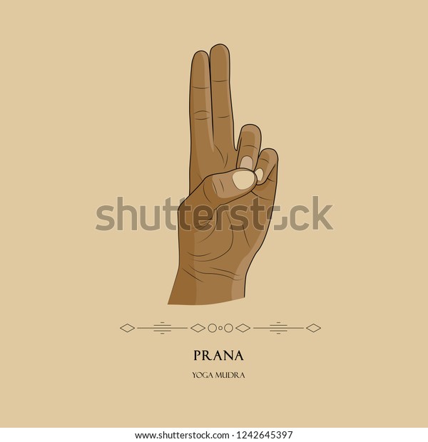Human Hand Prana Yoga Mudra Isolated Stock Vector (Royalty Free ...